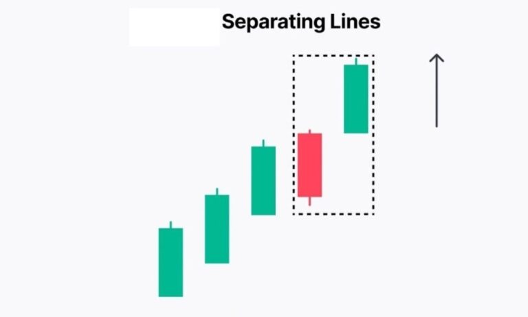 Mô Hình Separating Lines Là Gì? Đặc điểm Và ý Nghĩa